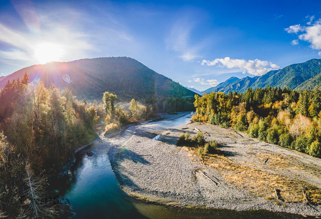 Elwha Legacy Forests - Elwha Legacy Forests