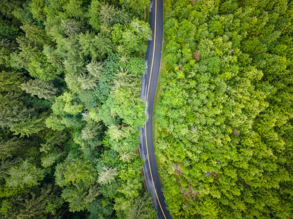 Elwha Legacy Forests - Elwha Legacy Forests
