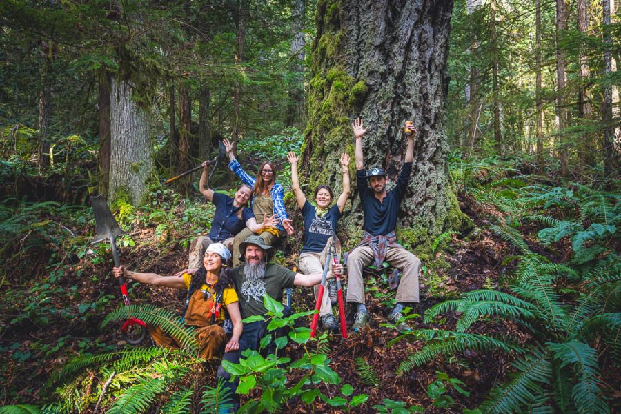 Elwha Legacy Forests - Elwha Legacy Forests